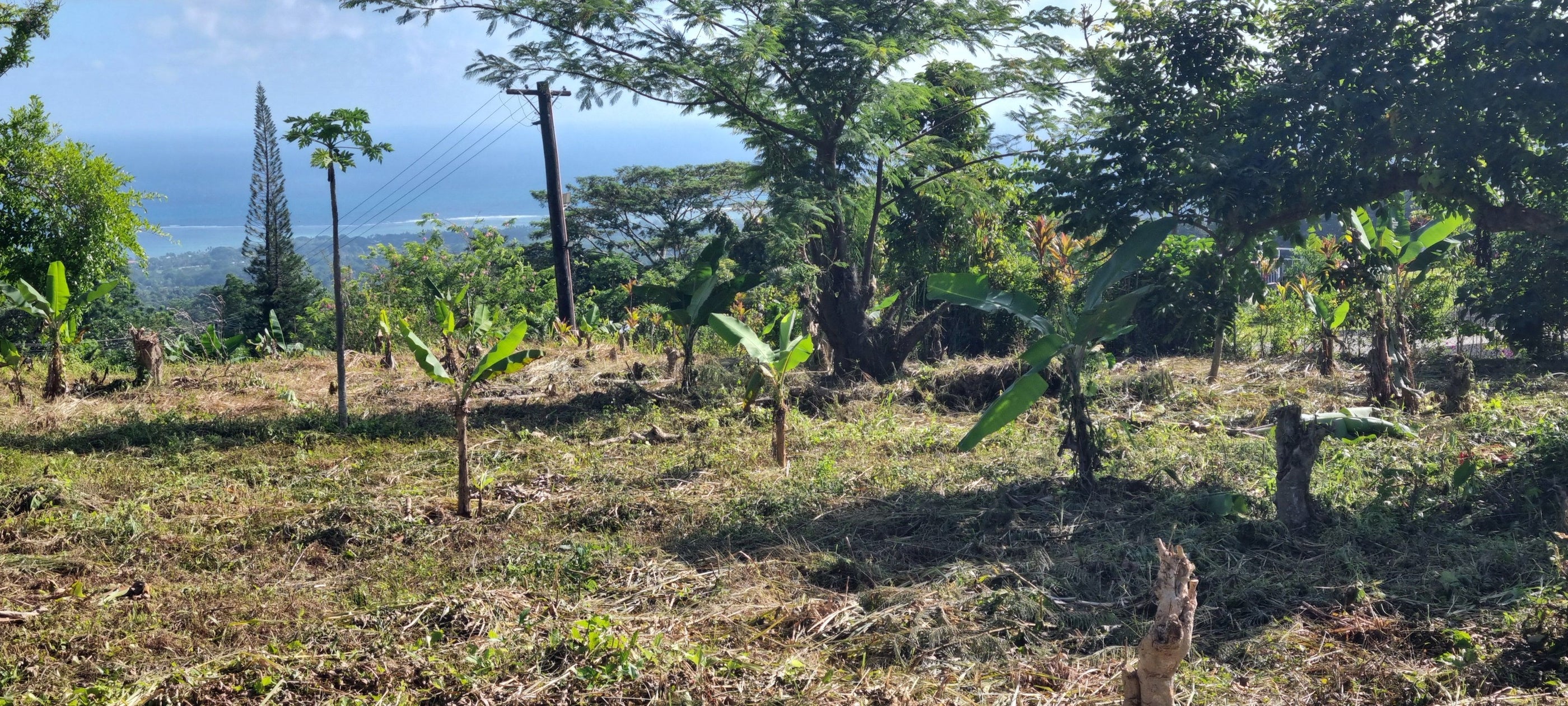 SS Real Estate Services – SS Real Estate Services Samoa