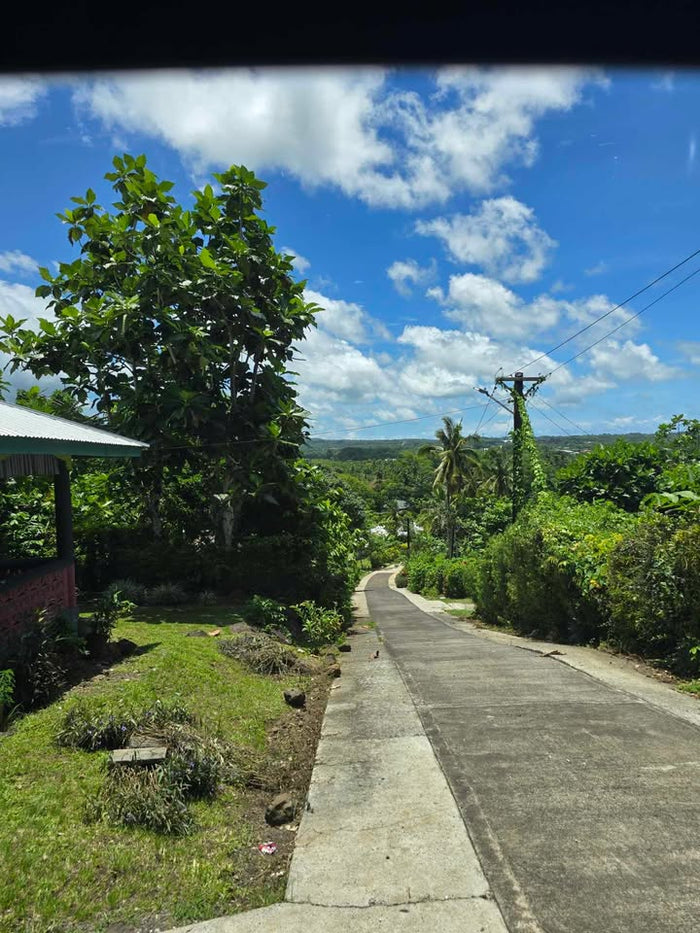 SS Real Estate Services – SS Real Estate Services Samoa